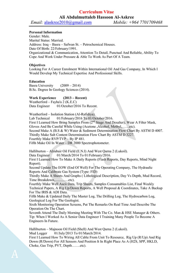 AliAbdulmuttalebHassoonAlaskree_CV | PDF