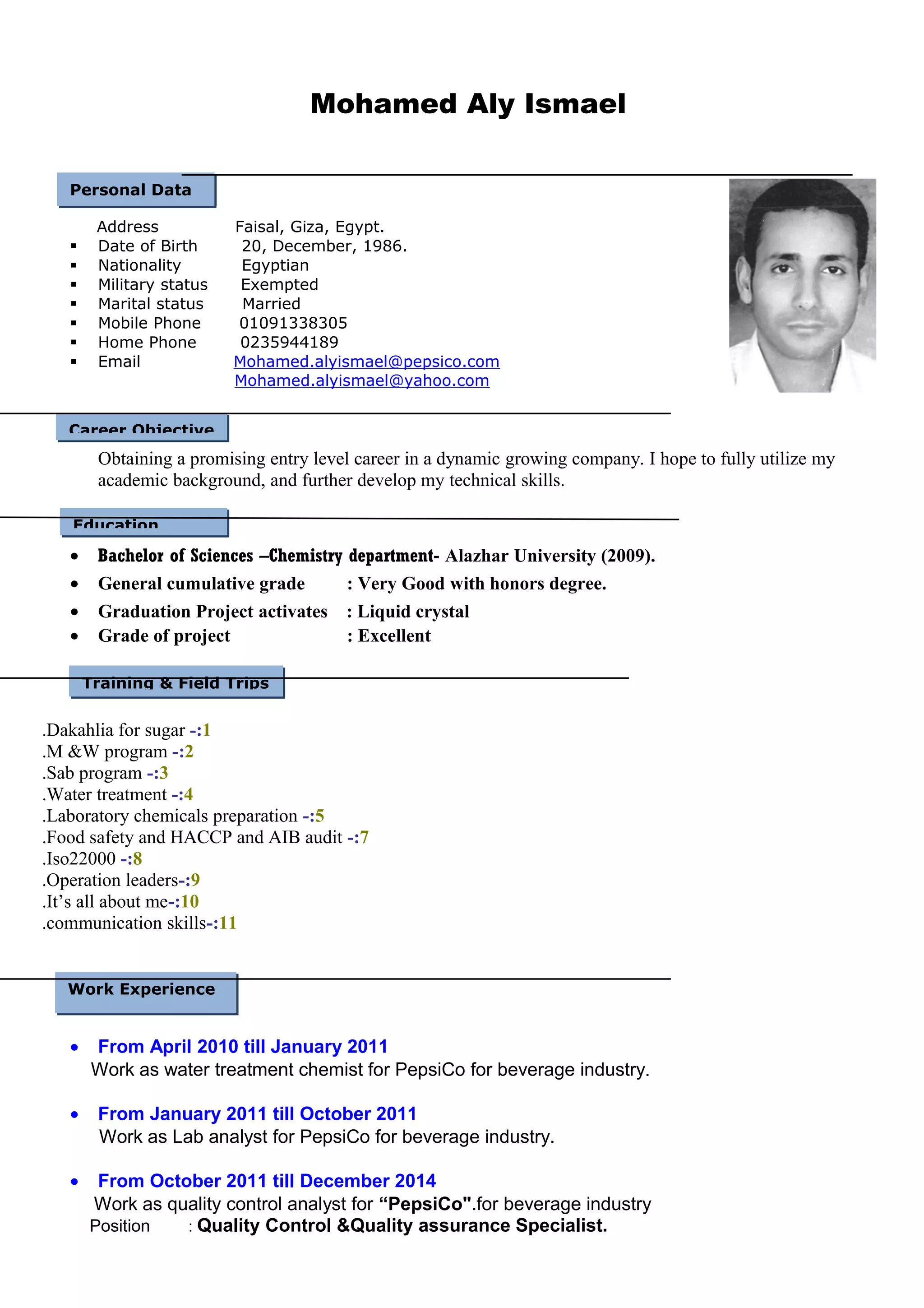 Mohamed_Ali's_CV | PDF