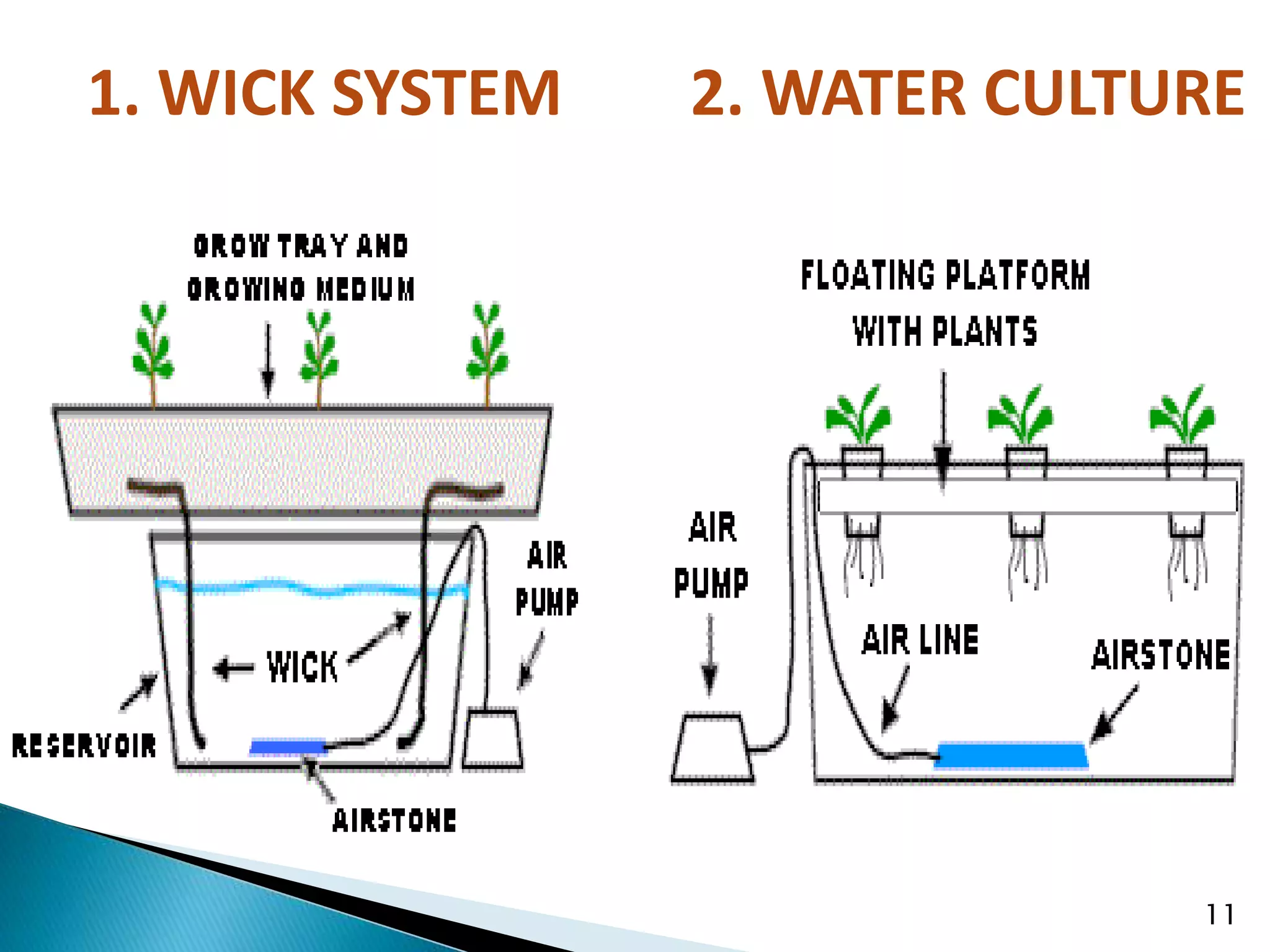 Hydroponics ppt | PPTX