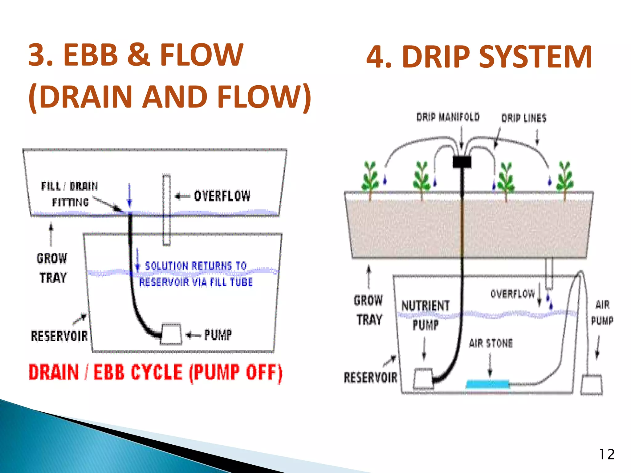Hydroponics ppt | PPTX
