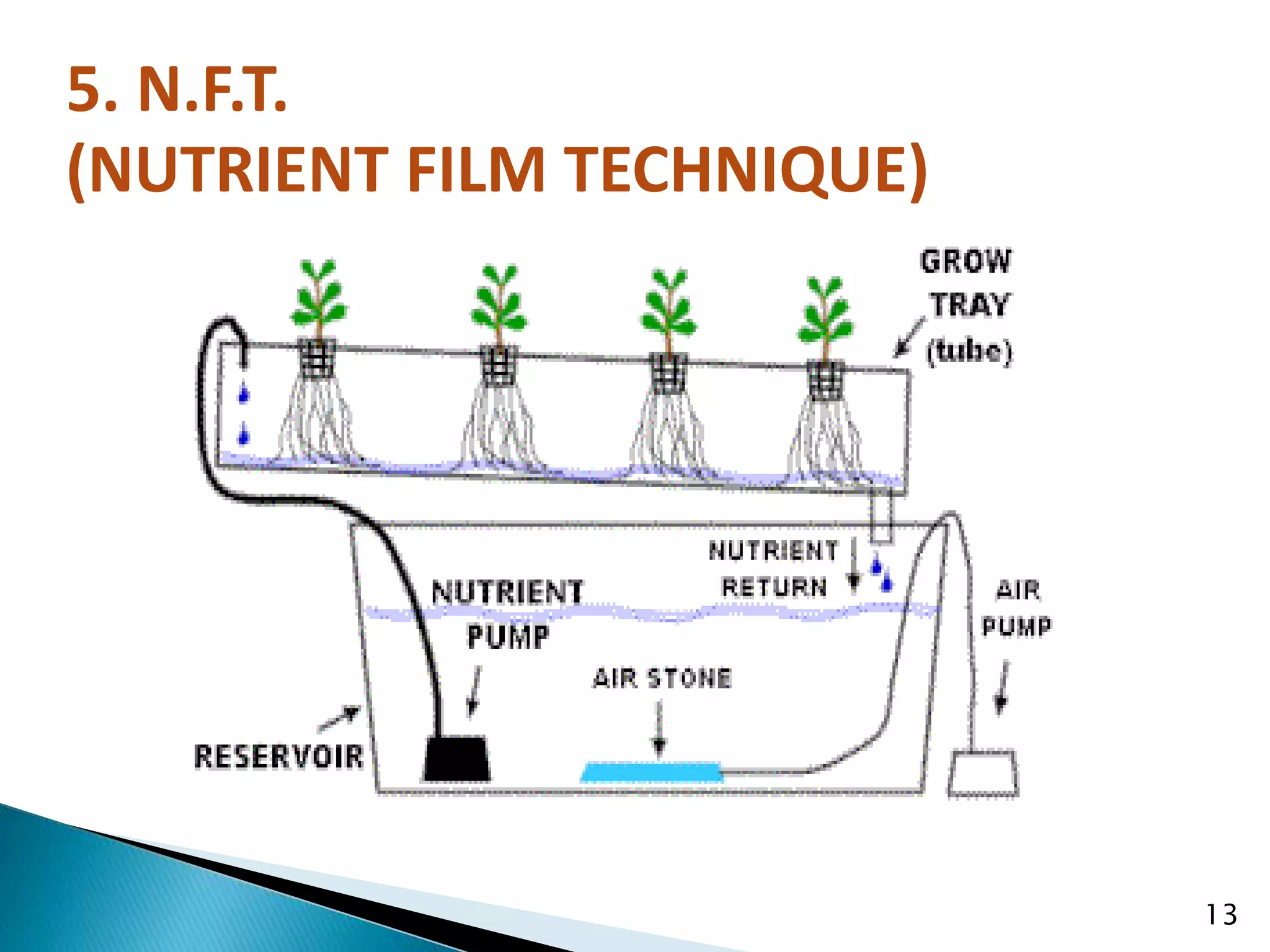 Hydroponics ppt | PPTX