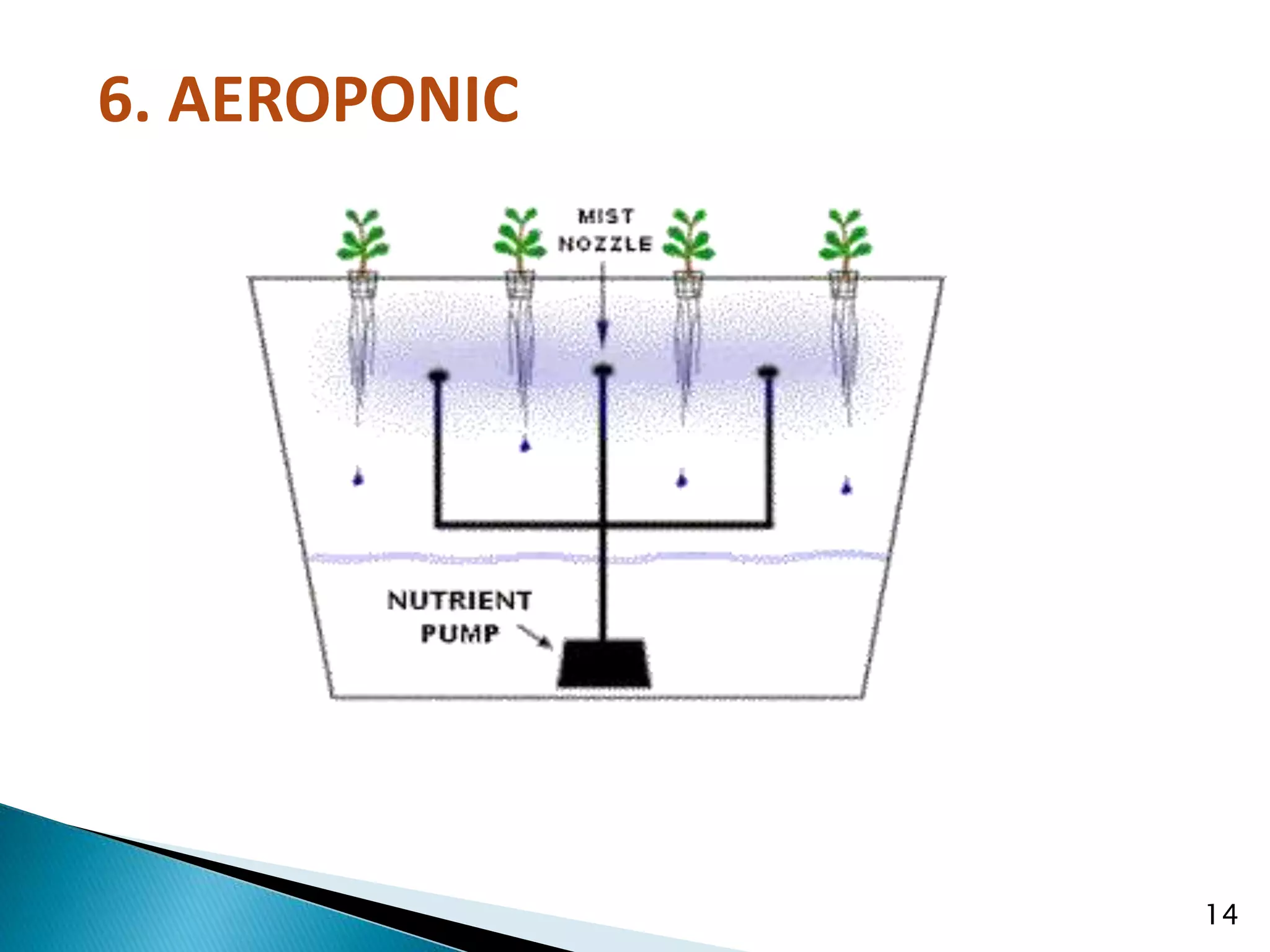Hydroponics ppt | PPTX