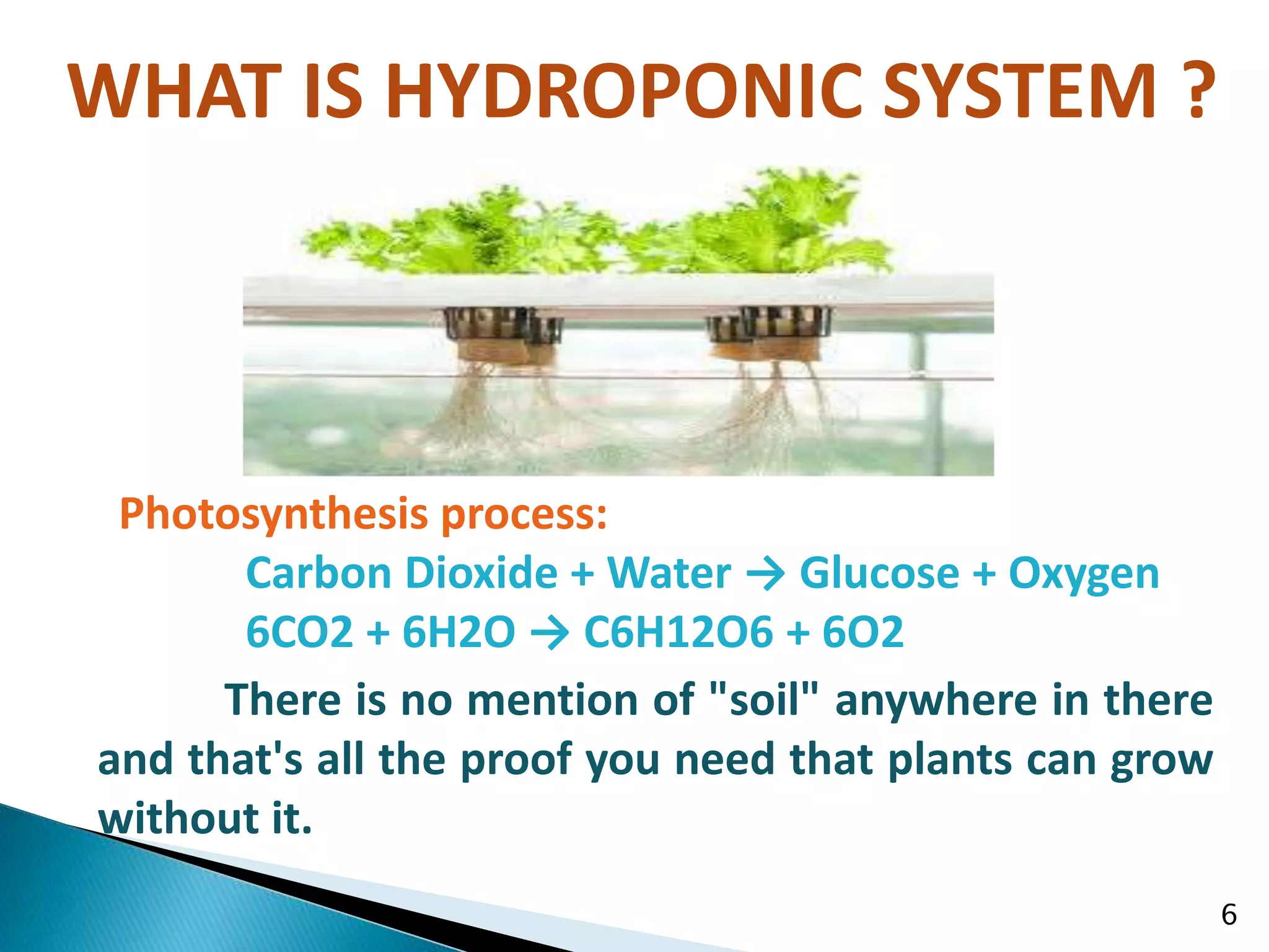 Hydroponics ppt | PPTX