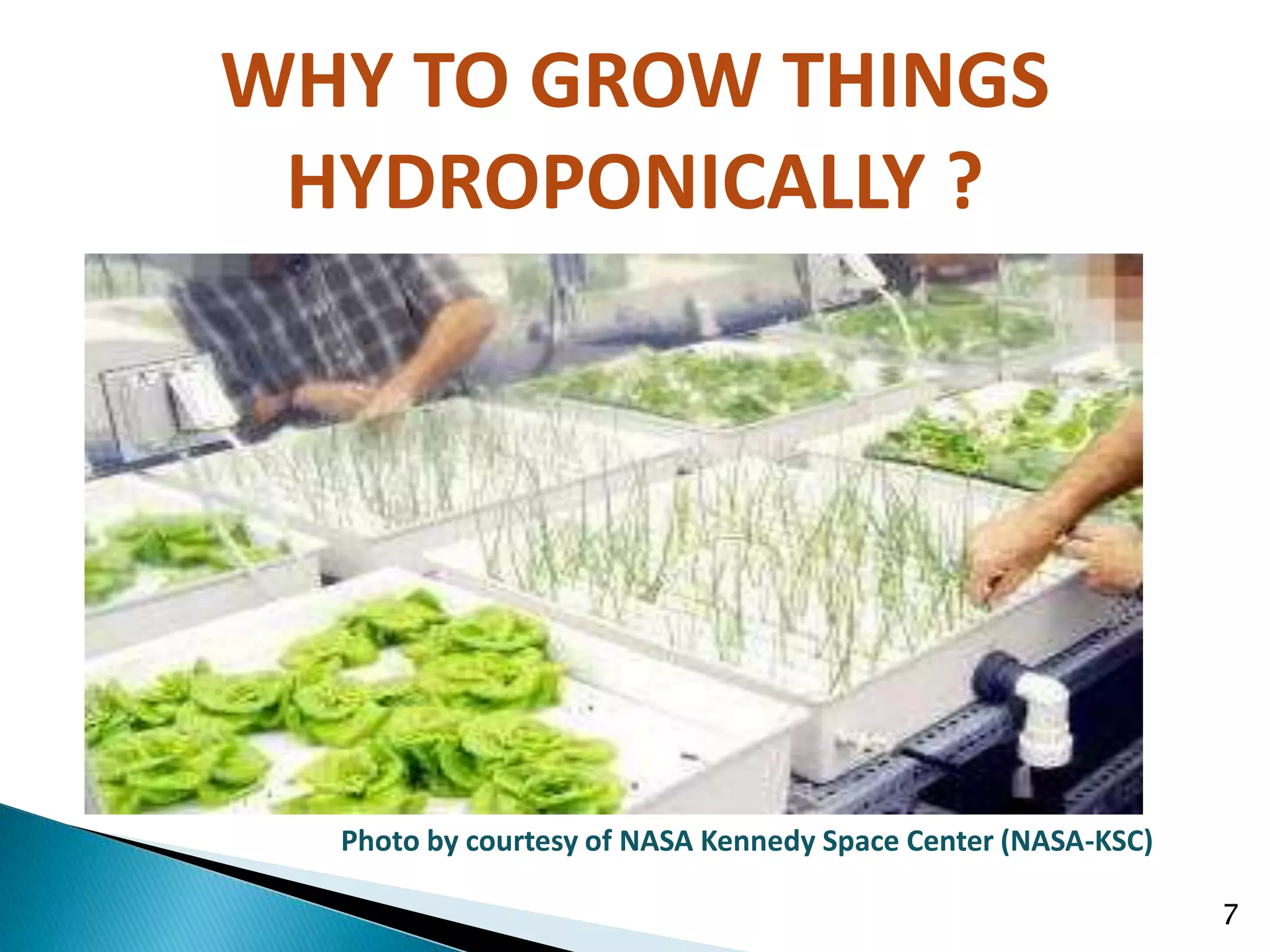 Hydroponics ppt | PPTX