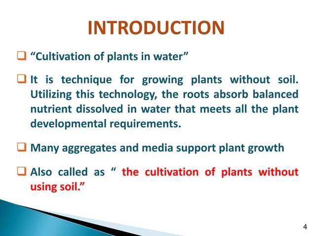 Hydroponics ppt | PPTX