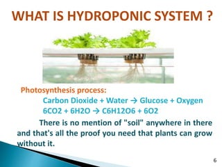 Hydroponics ppt | PPTX