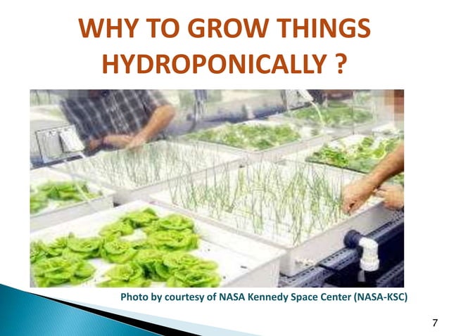 Hydroponics ppt | PPTX