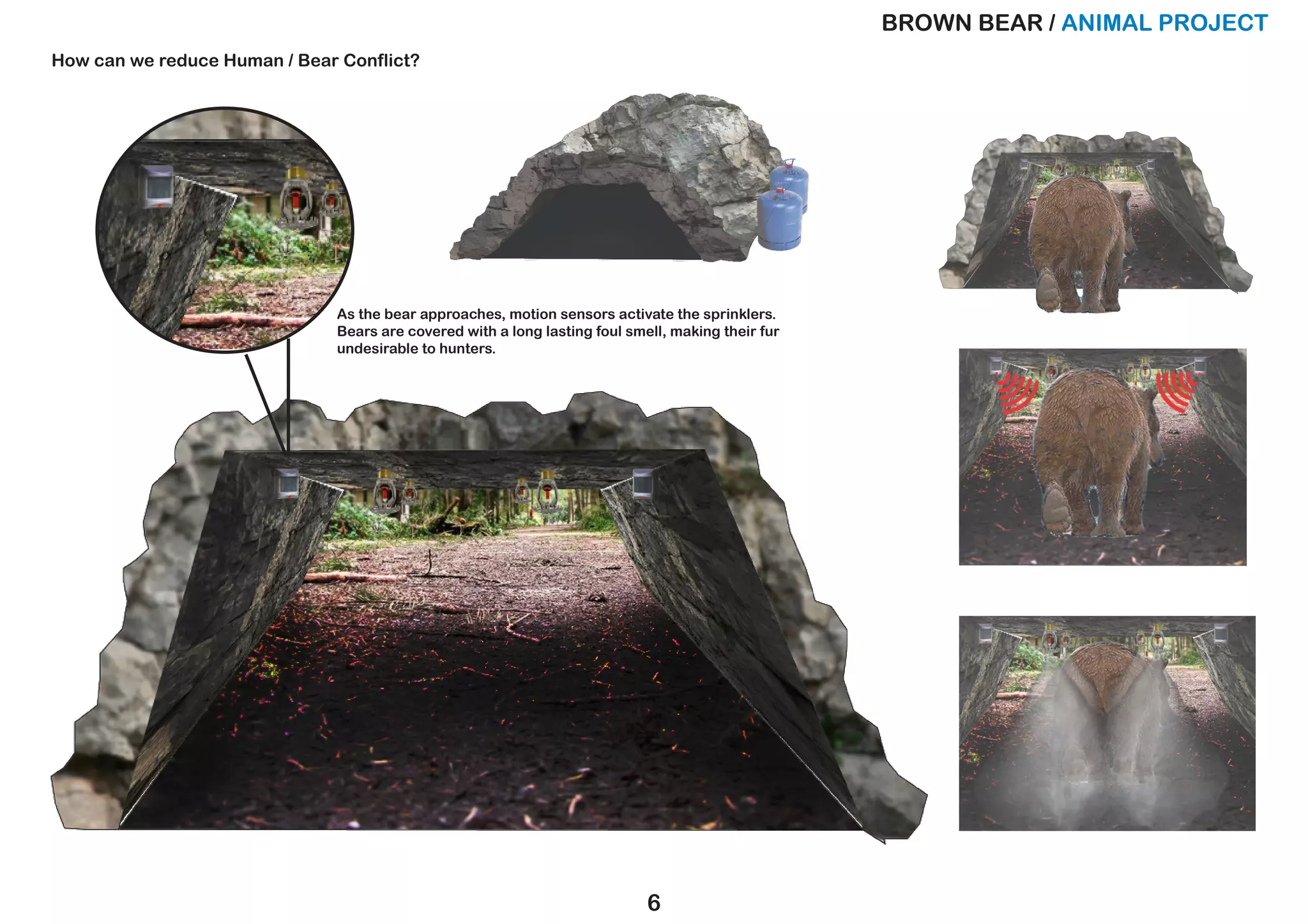 TDowney Brown Bear Ecosystem Project | PDF