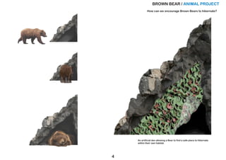 TDowney Brown Bear Ecosystem Project | PDF