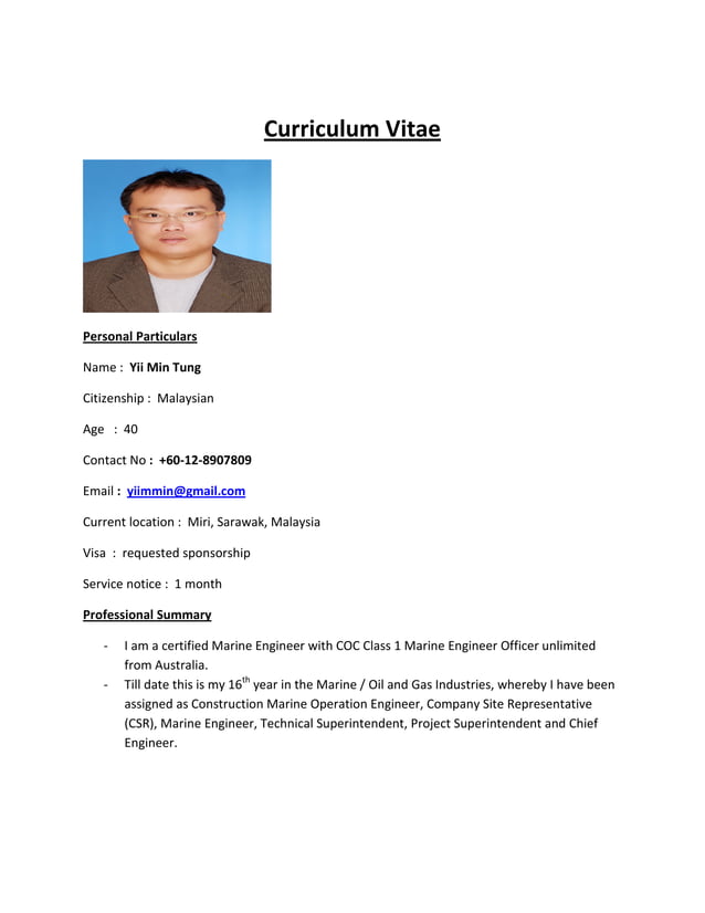 Yii M T CV 2015 | PDF