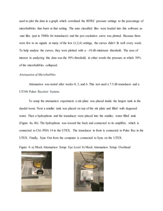 Microbubble Write Up | PDF