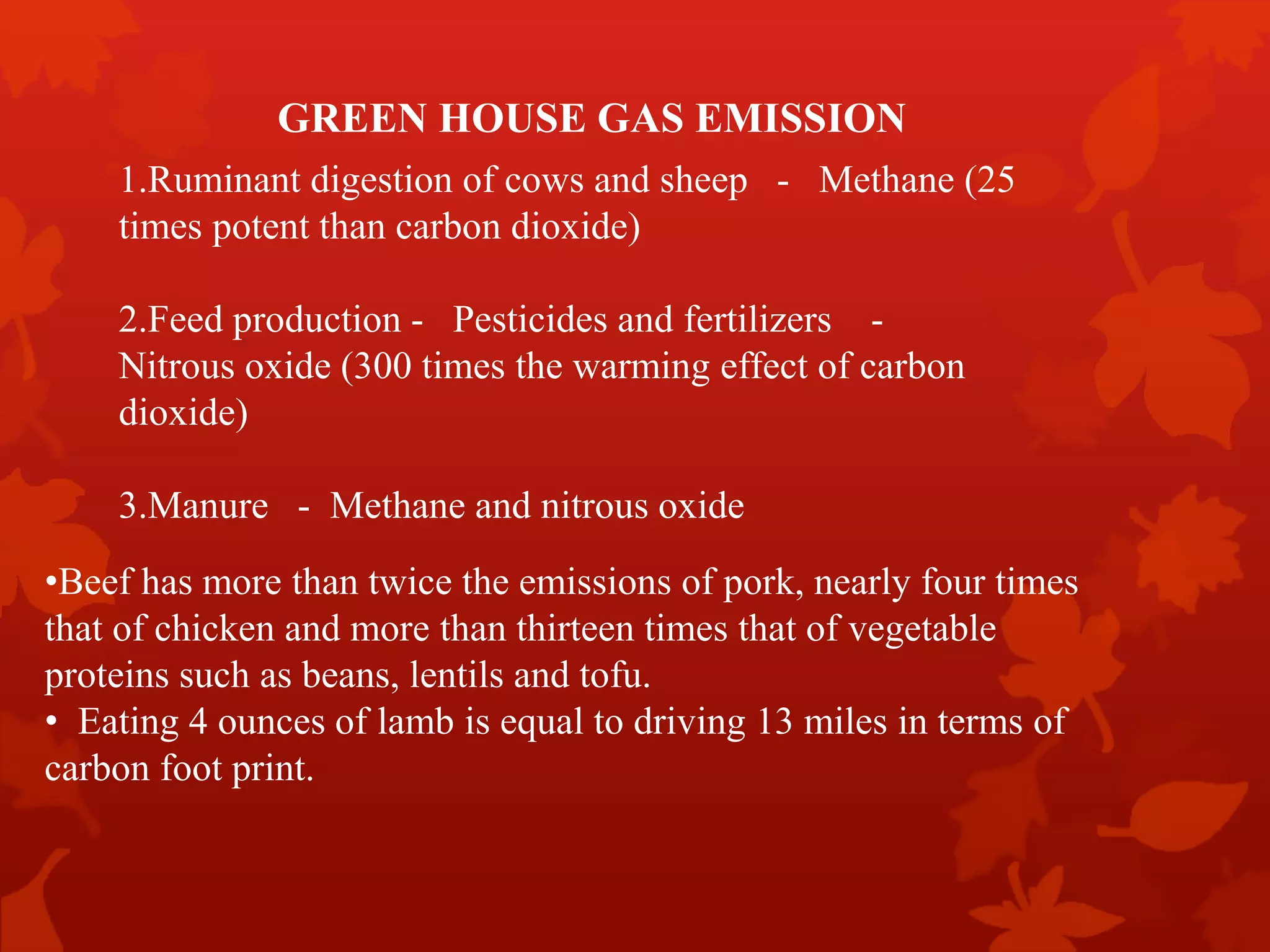 THE PROTEIN MYTH | PPTX