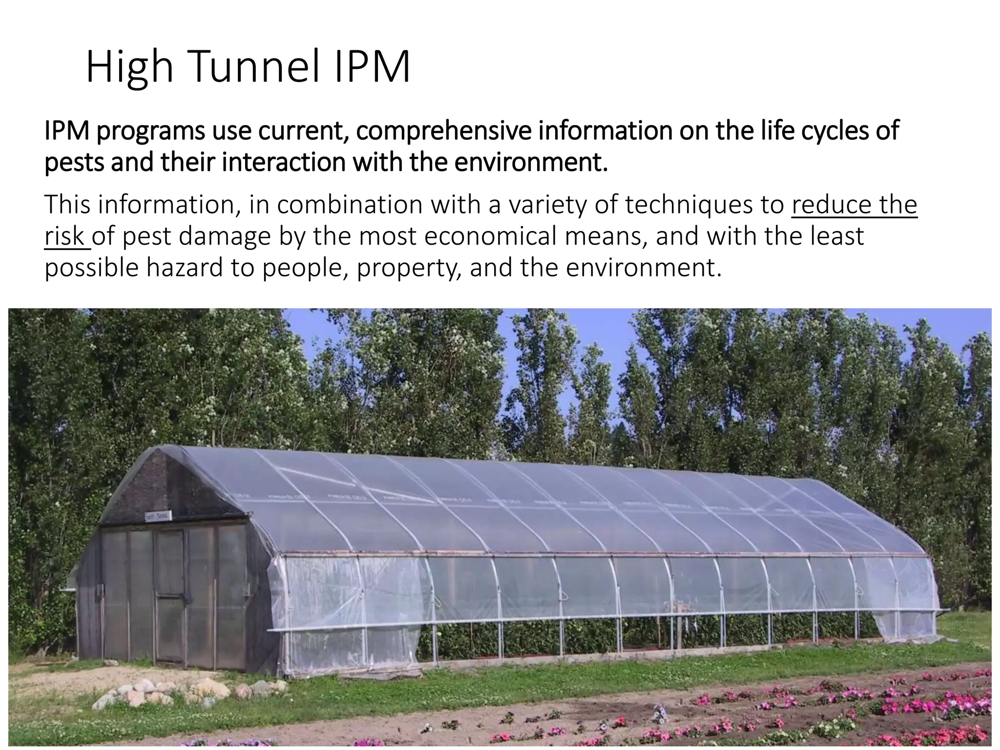 Understanding spider mites and other high tunnel insects, 2015 | PPTX