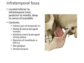 85. Temporal & infratemporal fossae.pptx