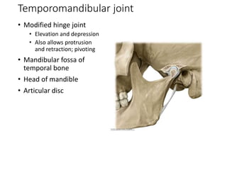 85. Temporal & infratemporal fossae.pptx
