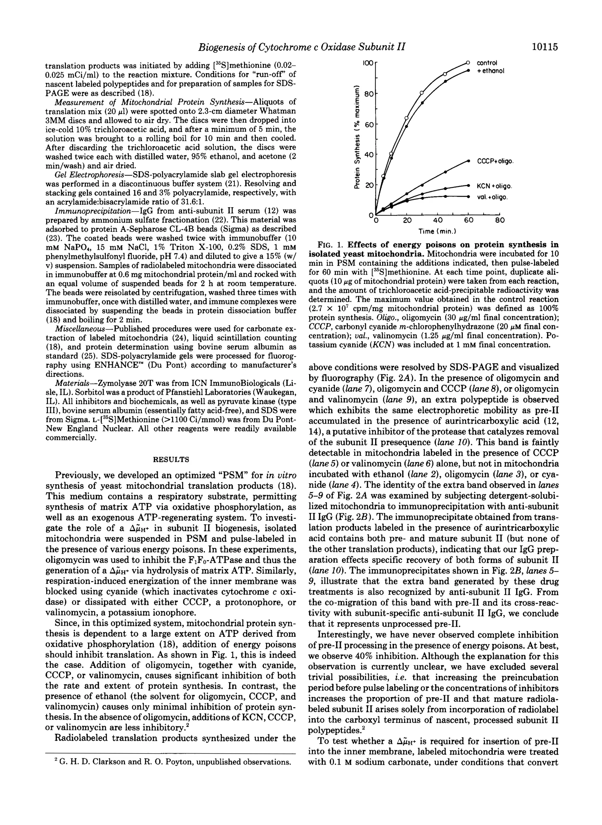 Poyton and Clarkson J Biol Chem 1989 | PDF