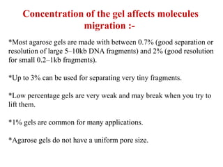 electrophoresis.ppt