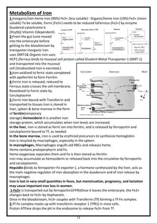 Minerals Metabolism | PDF