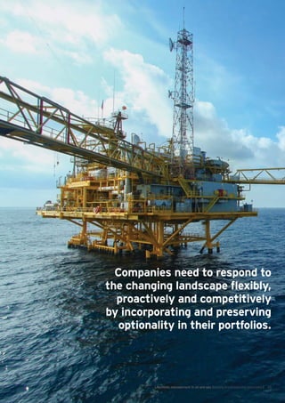 1501-1380419 Portfolio management in oil and gas TL FINAL | PDF