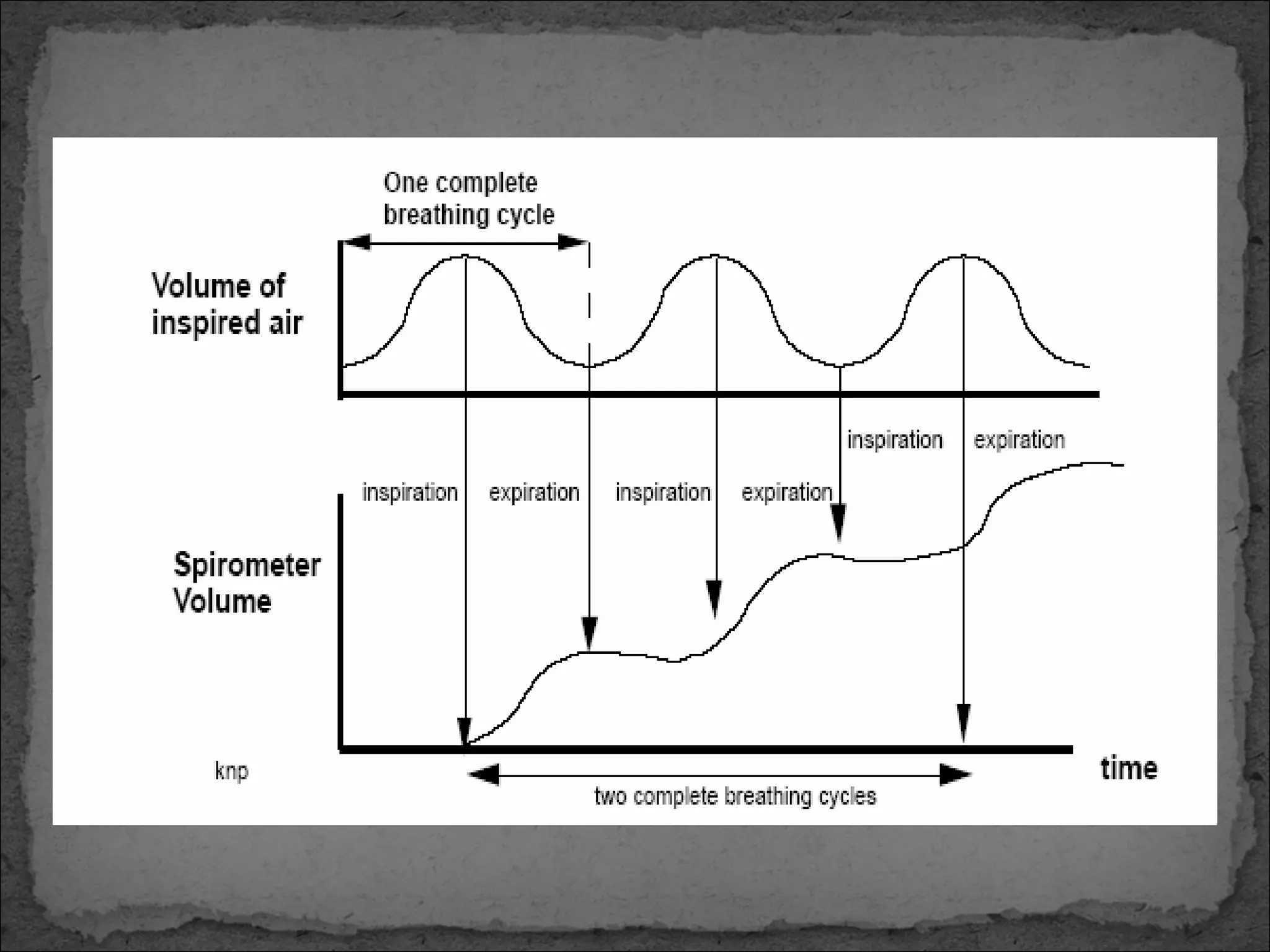 spirometry (measurements of the flow and volumes of air) | PPT