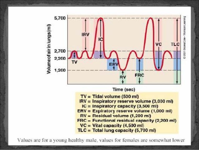 spirometry (measurements of the flow and volumes of air)
