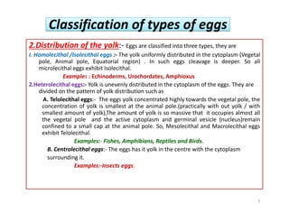 Types of Eggs for zoology students and similar courses | PDF