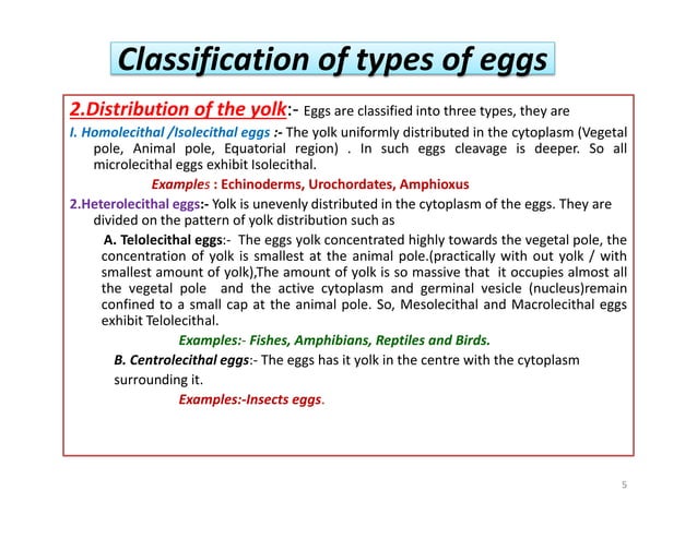 Types of Eggs for zoology students and similar courses | PPT
