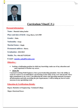 C.V mustafa | PDF