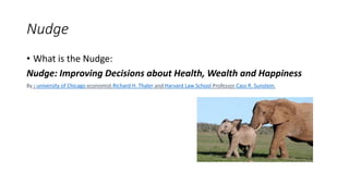 Nudge Me Tender | PDF