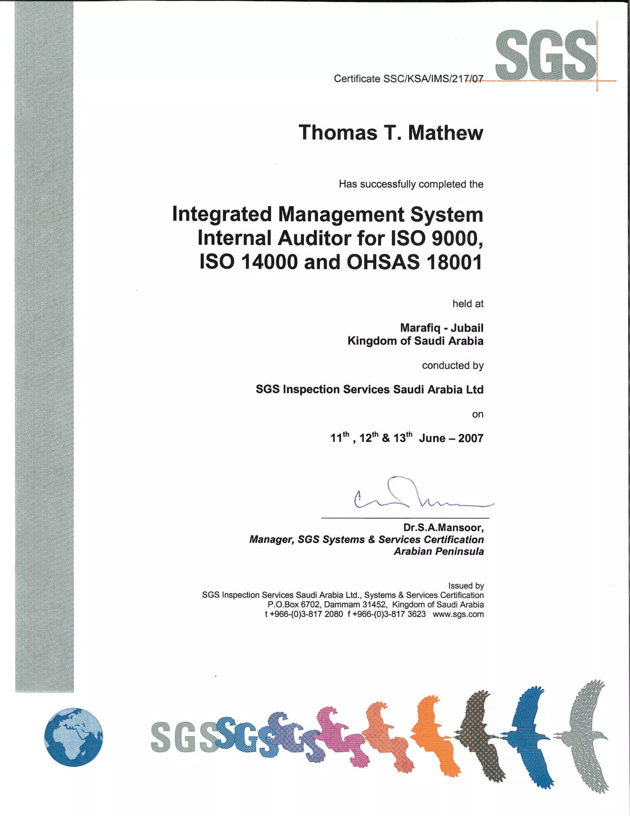 IMS Internal Auditor | PDF