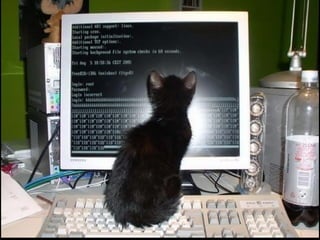 859 computing cats | PPT