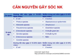 859278316-Nhie-m-khua-n-huye-t-SĐH. pdf | PDF
