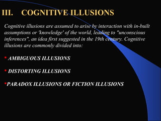 Cognitive Illusions Examples