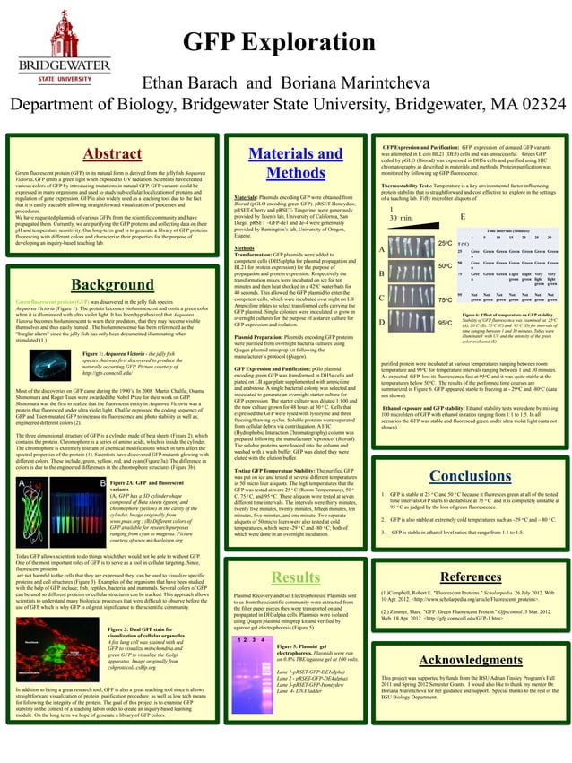 ENEBC Vertical Poster (2) | PDF
