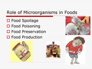 FOODMICROBIOLOGY | PDF
