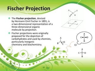 D-L Nomenclature System | PPTX