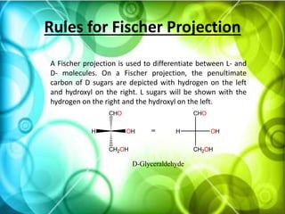 D-L Nomenclature System | PPTX