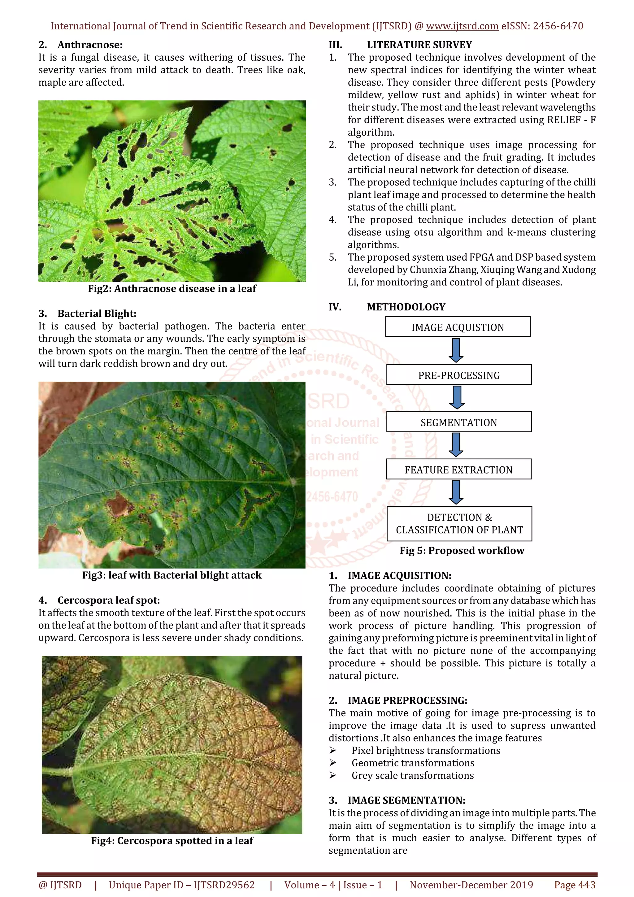 Disease Detection in Plant Leaves using K-Means Clustering and Neural Network | PDF