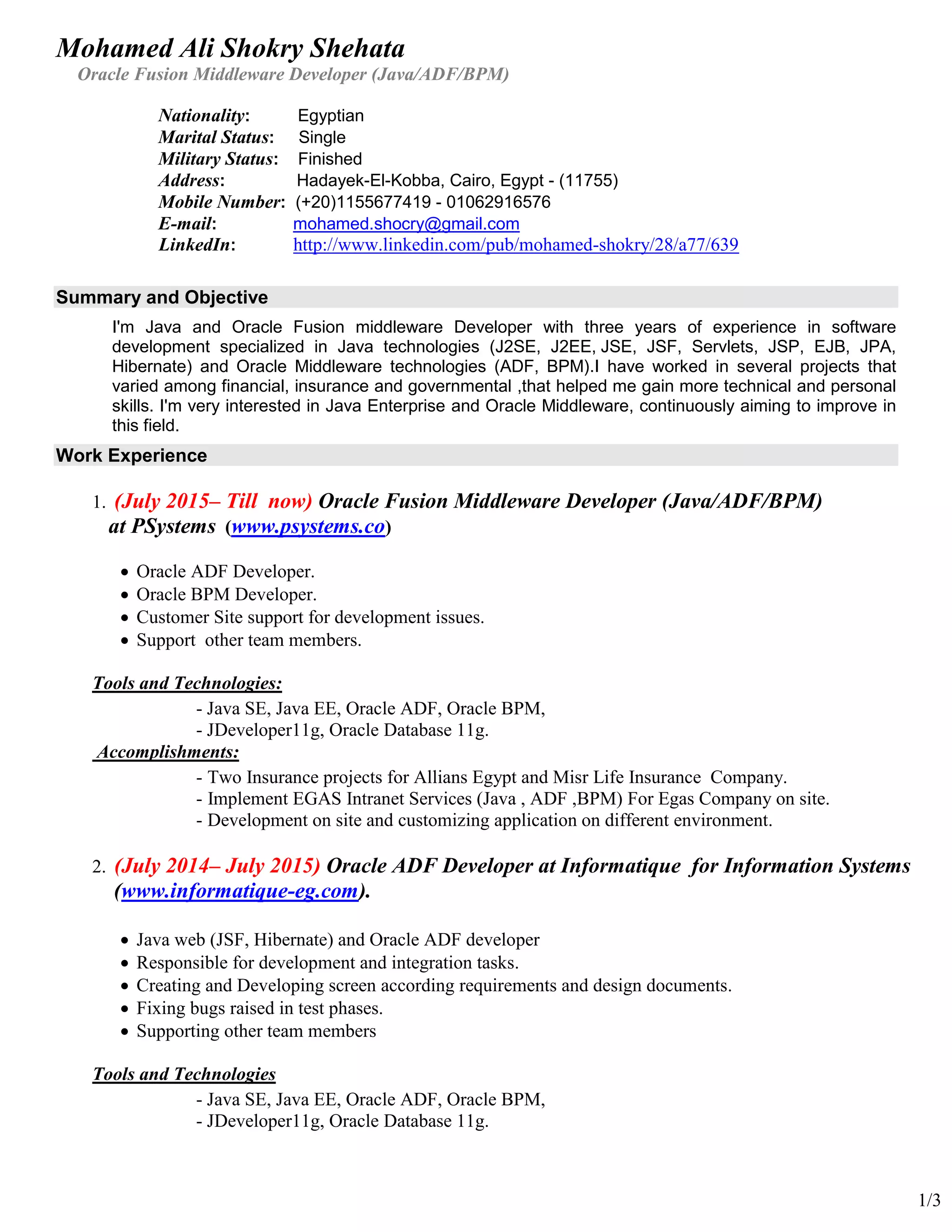 Mohamed Shokry_ADF Developer_3 | PDF | Programming Languages | Computing