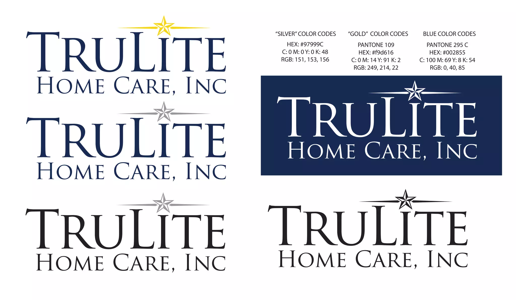 TruLite Logo Styles | PDF