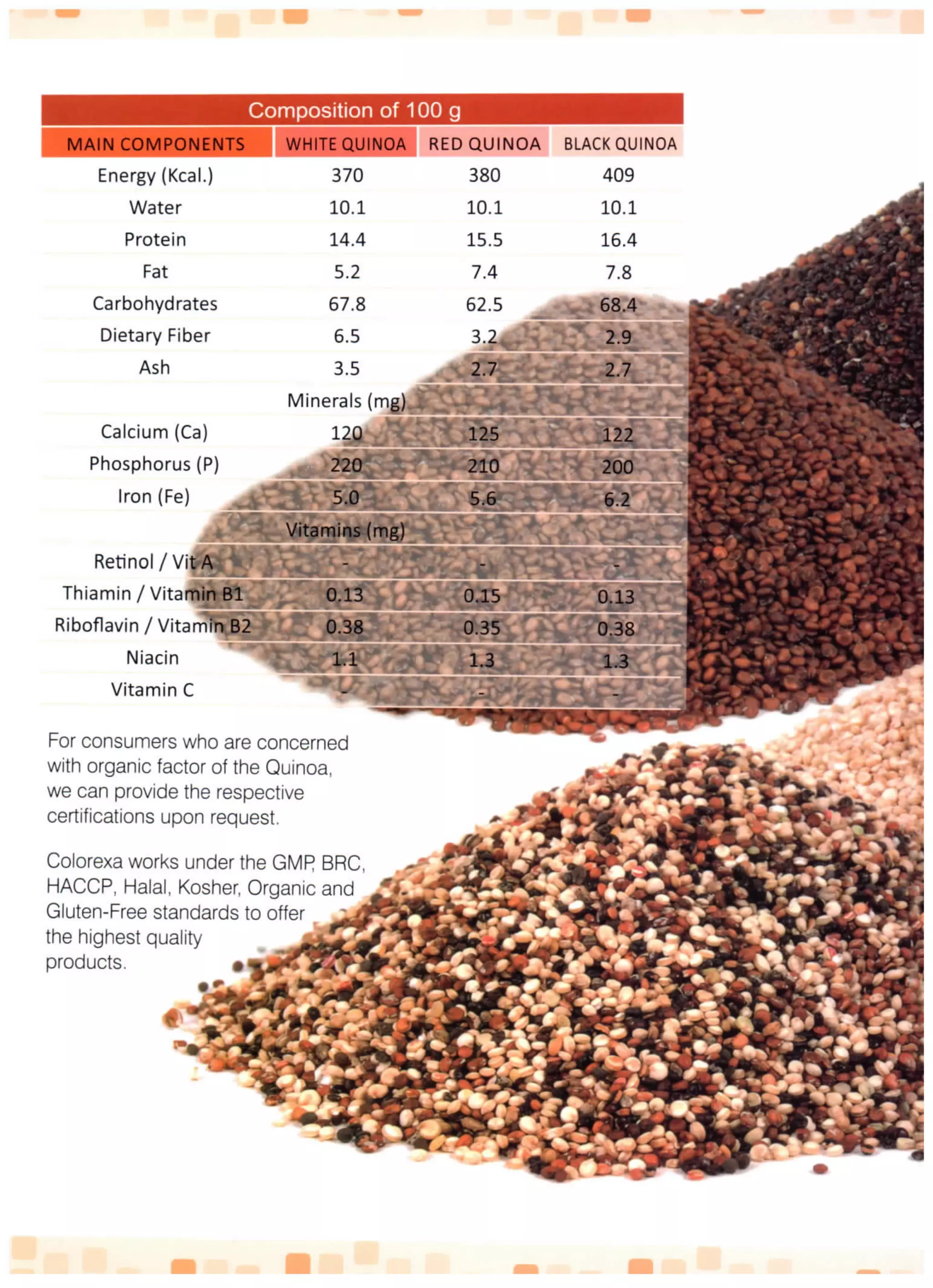 BROCHURE COMPLETE | PDF