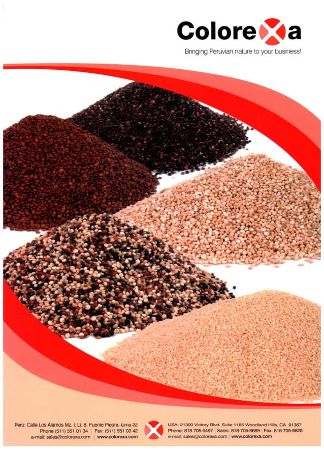 BROCHURE COMPLETE | PDF