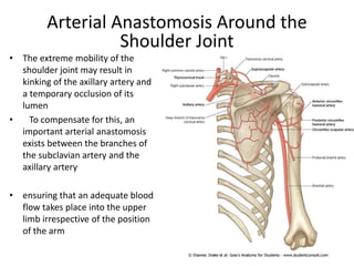 85 SCAPULAR REGION.pptx