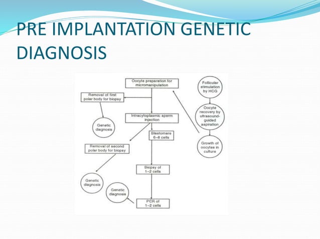 MYOTONIC DYSTROPHY | PPTX | Genetics | Science