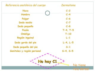 Tabla De Miotomas Y Dermatomas