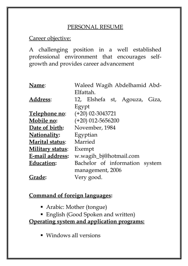 WALEED CV new - Copy | PDF