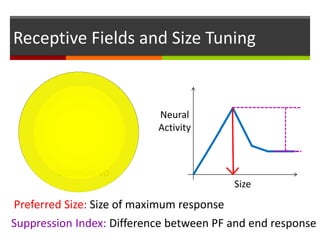 Sanchez, Paloma | PPSX | Biological Sciences | Science