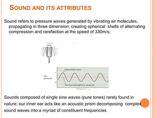 SOUND TRANSDUCTION | PPTX