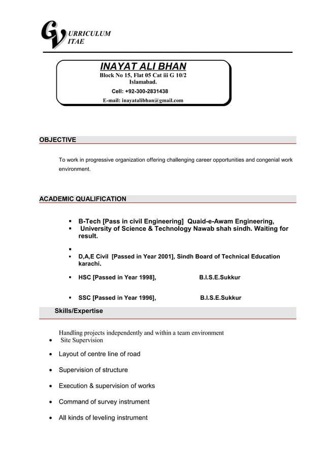 cv inayat ali bhan | PDF