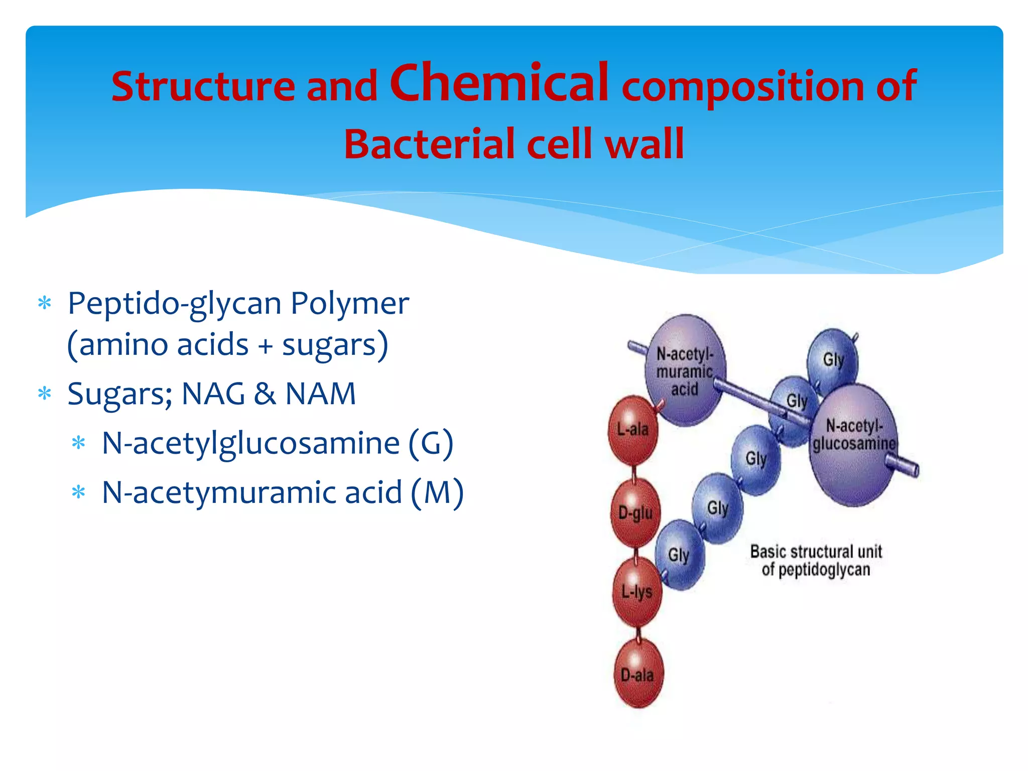 cell wall | PPTX